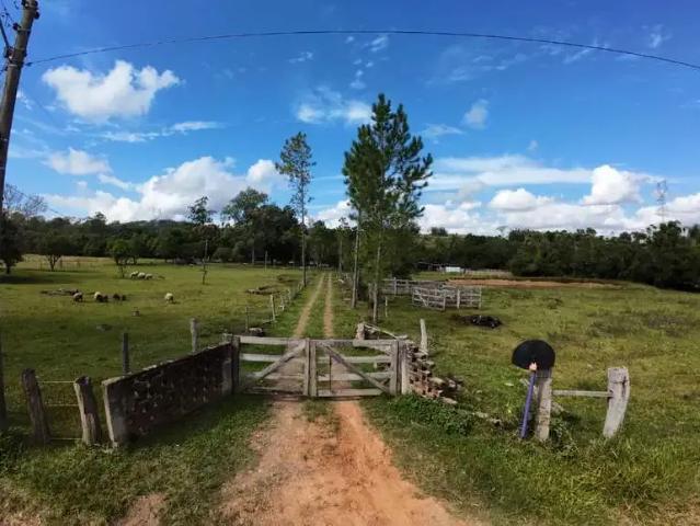 Fazenda para Venda em Gravataí/RS Neópolis