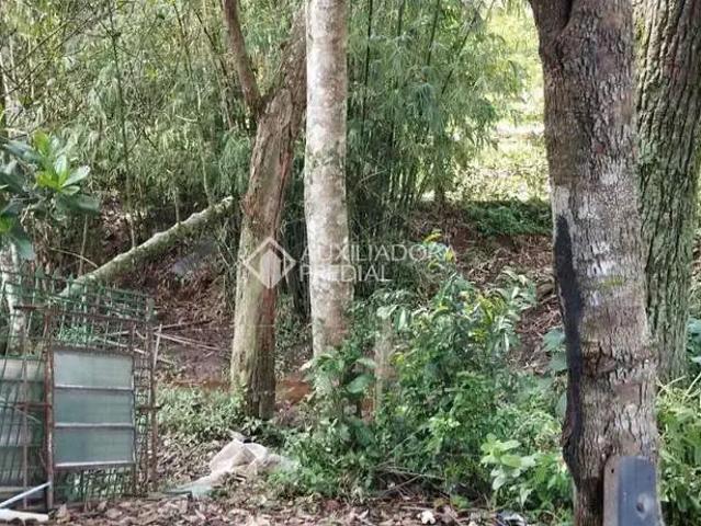 Fazenda para Venda em Gravataí/RS Parque Itacolomi
