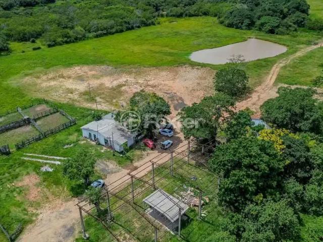 Fazenda para Venda em Gravataí/RS Passo das Pedras