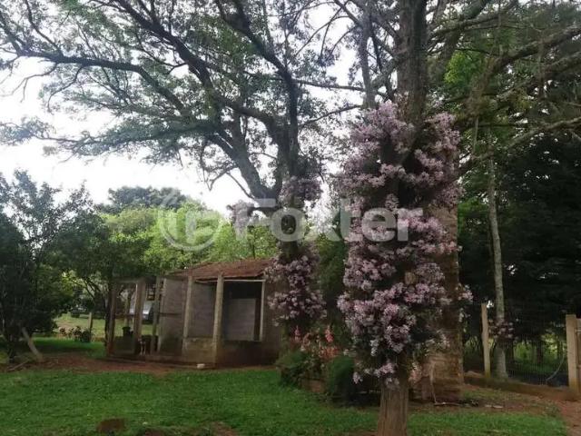 Fazenda para Venda em Gravataí/RS Santa Tecla Ipiranga 10 Quartos