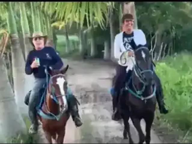 Fazenda para Venda em Gravatá/PE Zona Rural