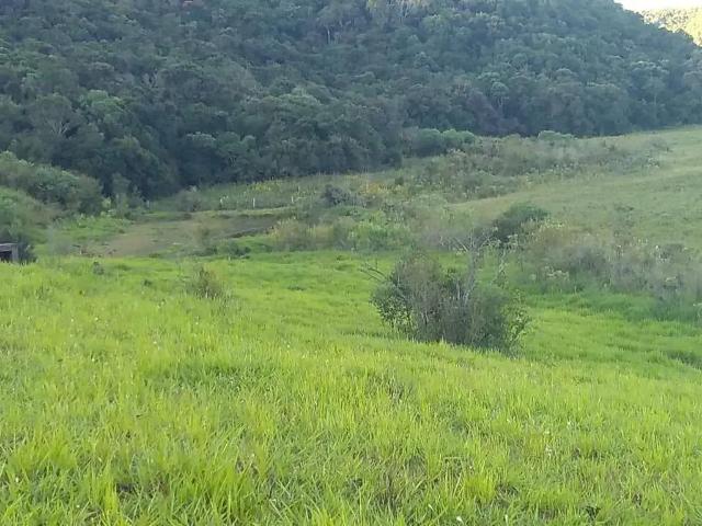 Fazenda para Venda em Guaíba/RS Centro 3 Quartos