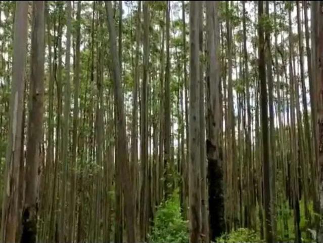 Fazenda para Venda em Guapiara/SP Zona Rural 1 Quartos