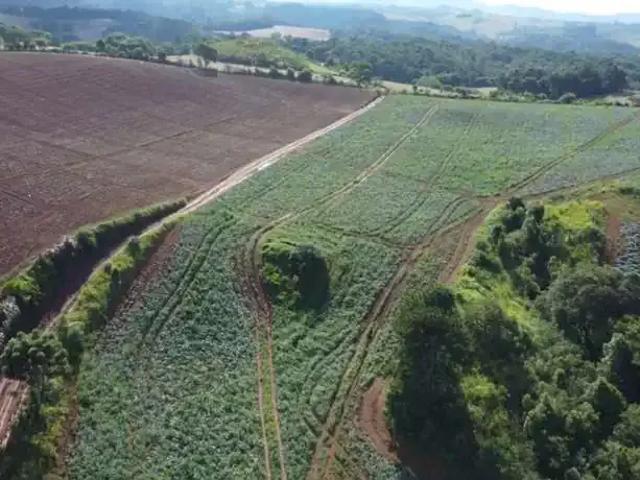 Fazenda para Venda em Guapiara/SP Zona Rural