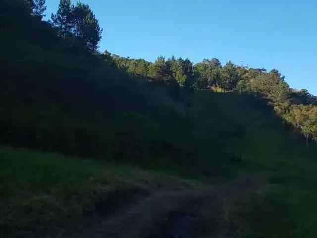 Fazenda para Venda em Guapiara/SP Centro