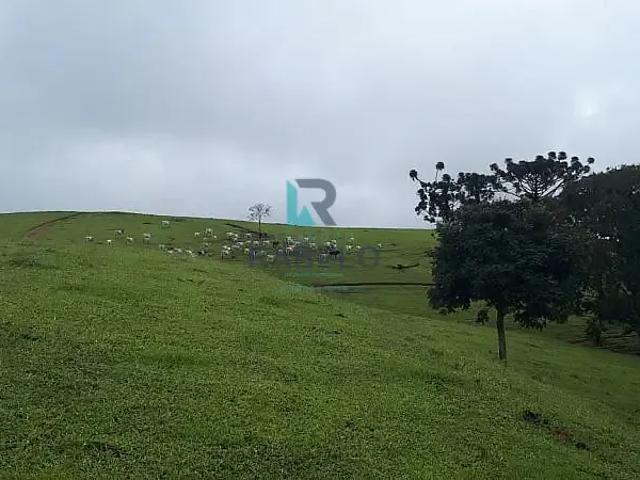Fazenda para Venda em Guaratinguetá/SP Centro 3 Quartos