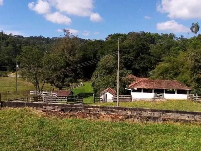 Fazenda para Venda em Guaratinguetá/SP Rocinha 3 Quartos