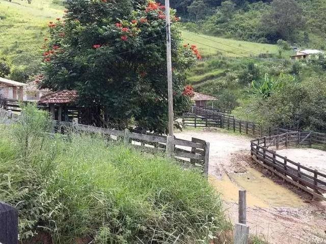 Fazenda para Venda em Guaratinguetá/SP Rocinha 3 Quartos