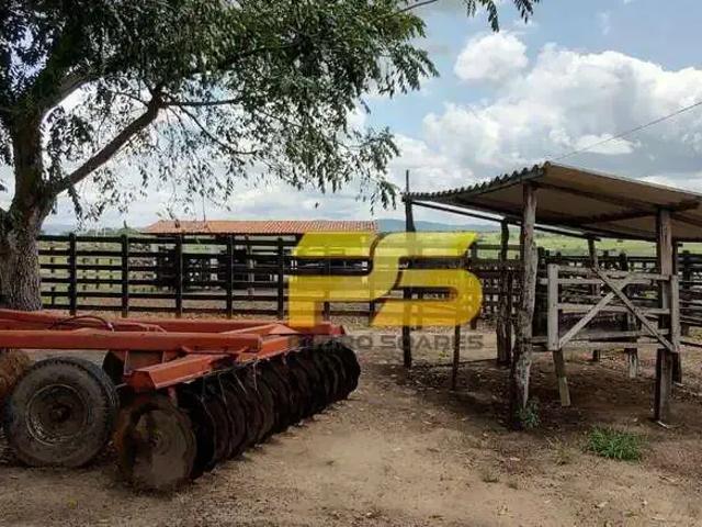 Fazenda para Venda em Guarabira/PB São José