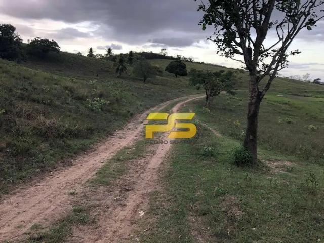 Fazenda para Venda em Guarabira/PB São José