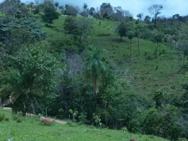 Fazenda para Venda em Guaraíta/GO Zona Rural