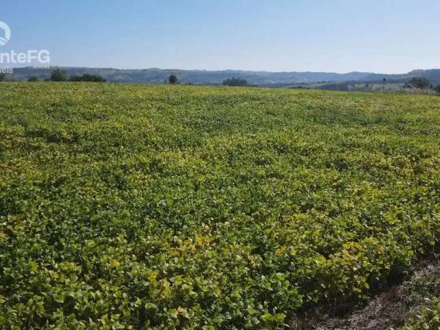 Fazenda para Venda em Guaraniaçu/PR Zona Rural