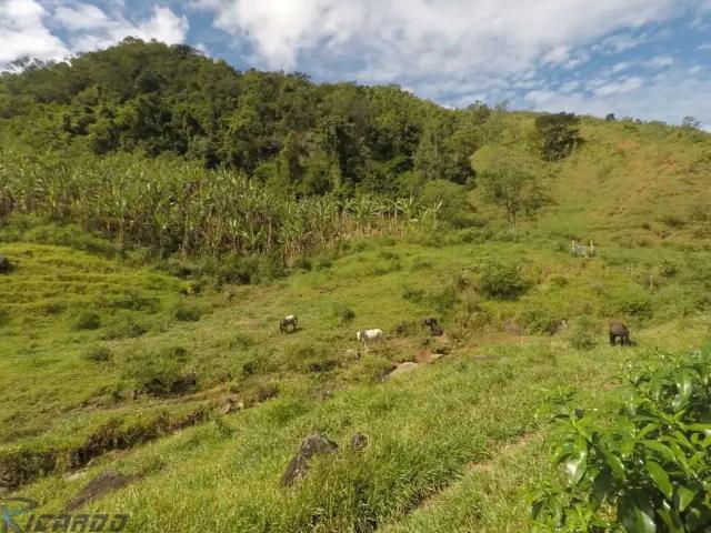 Fazenda para Venda em Guarapari/ES Comunidade Urbana de Iguape 4 Quartos