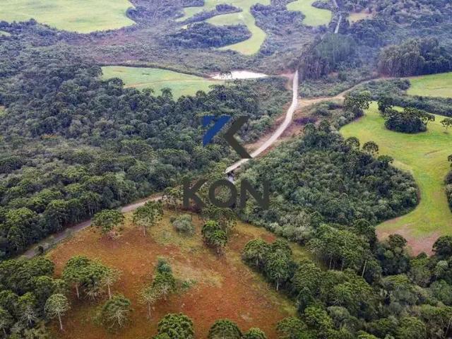 Fazenda para Venda em Guarapuava/PR Morro Alto 2 Quartos