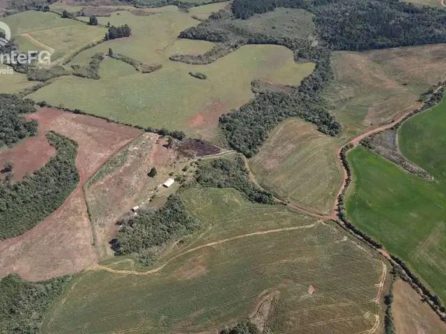 Fazenda para Venda em Guarapuava/PR Área Rural de Guarapuava