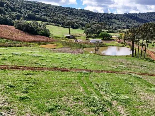 Fazenda para Venda em Guarapuava/PR Área Rural de Guarapuava