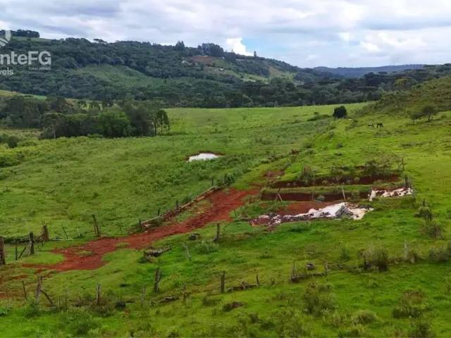 Fazenda para Venda em Guarapuava/PR Área Rural de Guarapuava