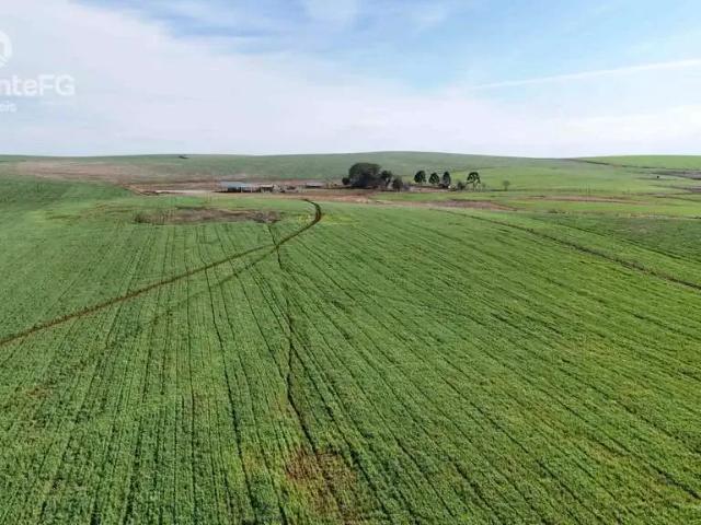 Fazenda para Venda em Guarapuava/PR Área Rural de Guarapuava