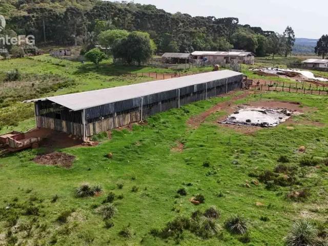 Fazenda para Venda em Guarapuava/PR Área Rural de Guarapuava