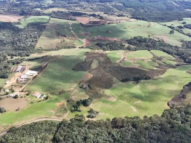 Fazenda para Venda em Guarapuava/PR Área Rural de Guarapuava