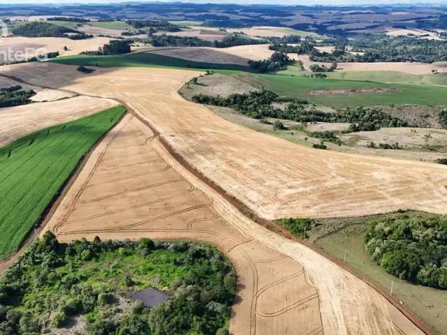 Fazenda para Venda em Guarapuava/PR Área Rural de Guarapuava 9 Quartos