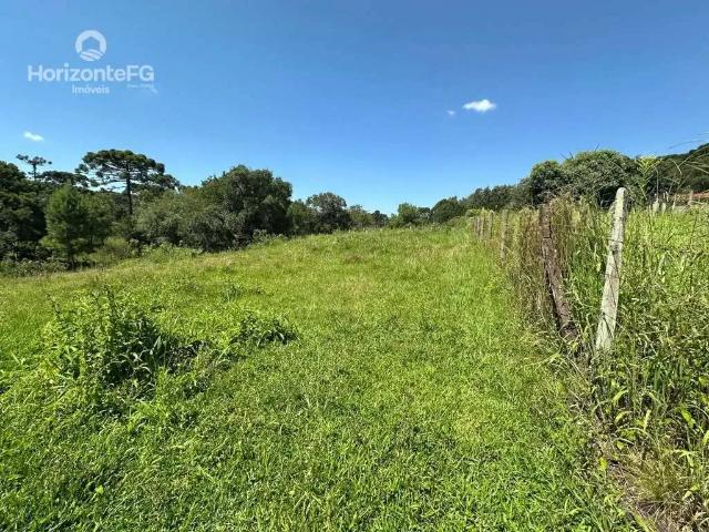 Fazenda para Venda em Guarapuava/PR Área Rural de Guarapuava