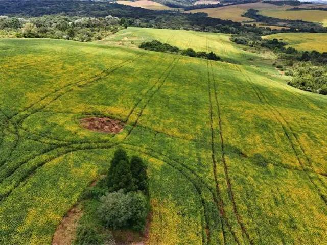 Fazenda para Venda em Guarapuava/PR Área Rural de Guarapuava