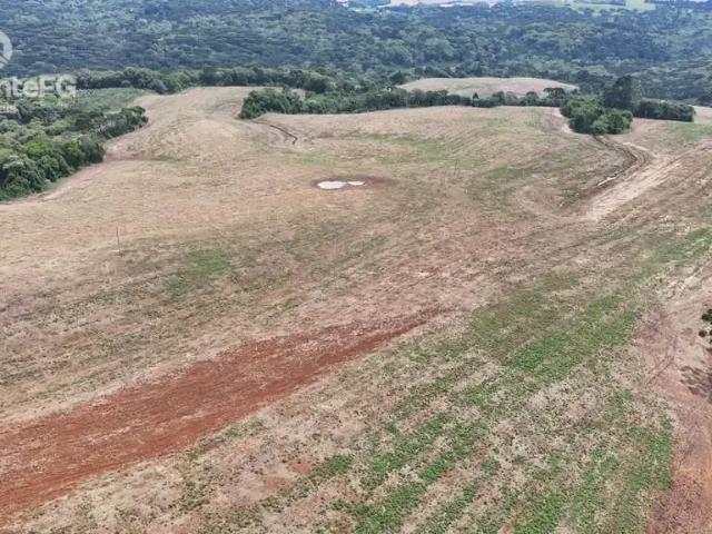 Fazenda para Venda em Guarapuava/PR Área Rural de Guarapuava