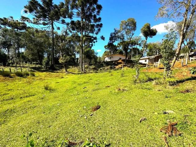 Fazenda para Venda em Guarapuava/PR Área Rural de Guarapuava