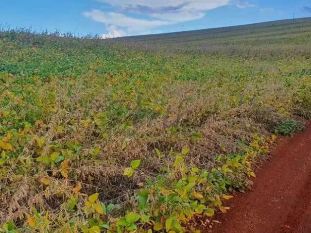 Fazenda para Venda em Guarapuava/PR Área Rural de Guarapuava 1 Quartos