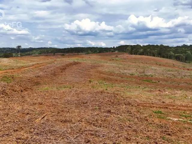 Fazenda para Venda em Guarapuava/PR Área Rural de Guarapuava