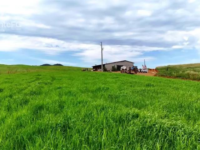 Fazenda para Venda em Guarapuava/PR Área Rural de Guarapuava