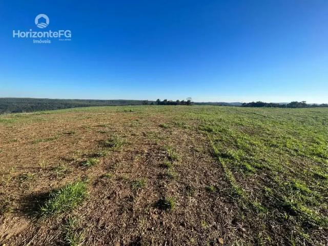 Fazenda para Venda em Guarapuava/PR Área Rural de Guarapuava