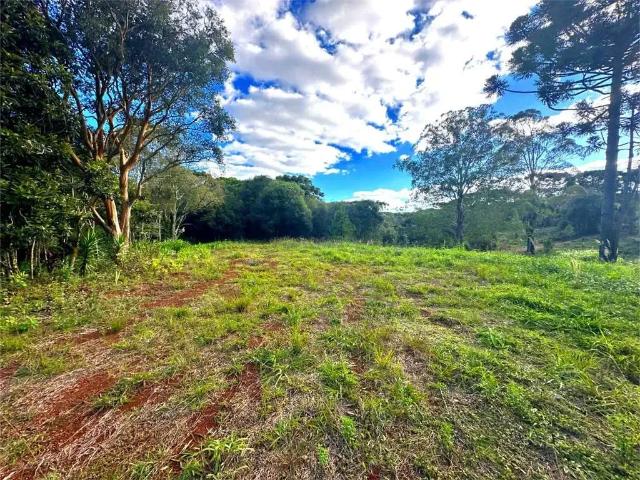 Fazenda para Venda em Guarapuava/PR Palmeirinha
