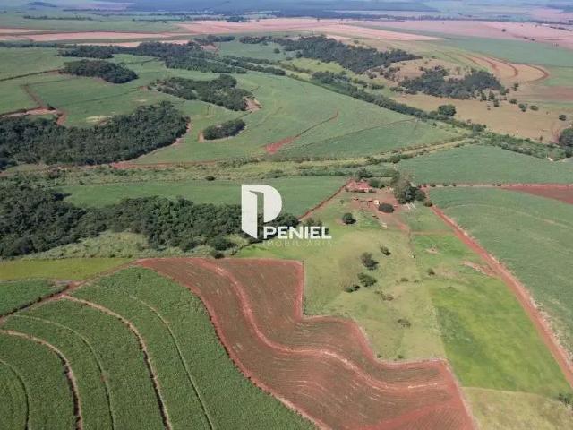 Fazenda para Venda em Guatapará/SP Zona Rural