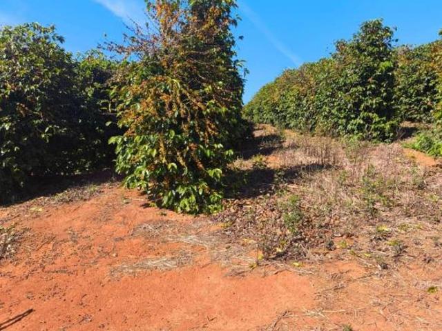 Fazenda para Venda em Guaxupé, 1 dormitório, 1 banheiro, 1 vaga