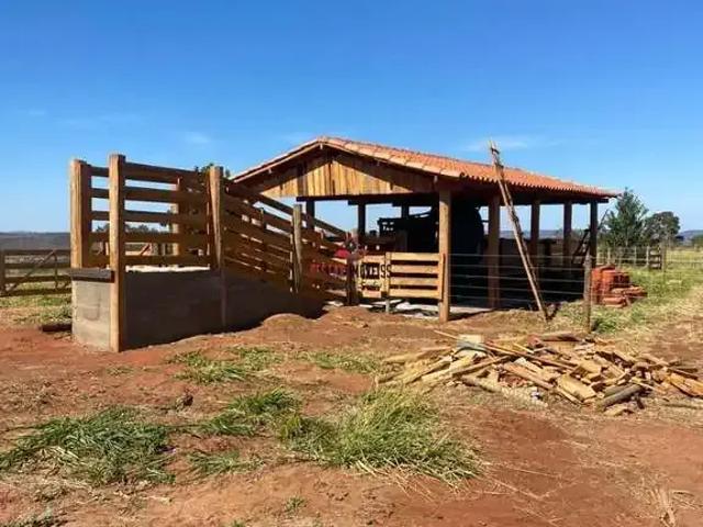 Fazenda para Venda em Gurinhatã/MG Zona Rural