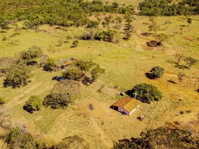 Fazenda para Venda em Gurinhatã/MG Zona Rural