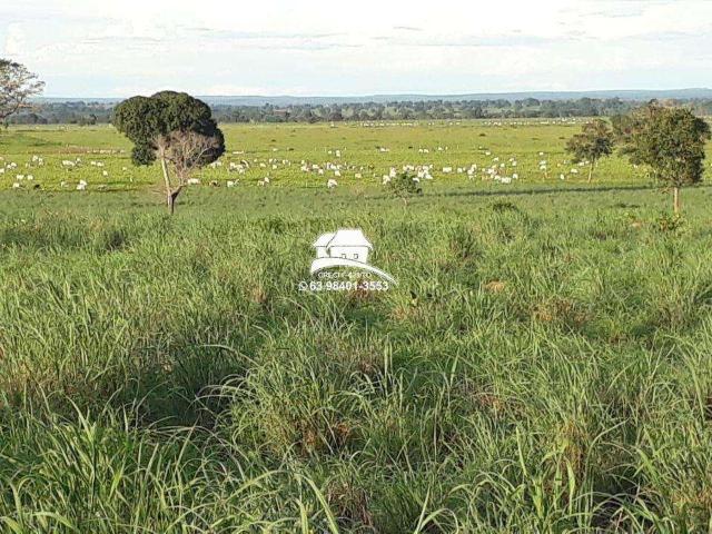 Fazenda para Venda em Gurupi/TO Área Rural de Gurupi