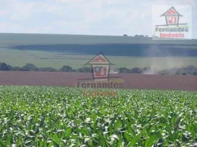 Fazenda para Venda em Dourados/MS Centro