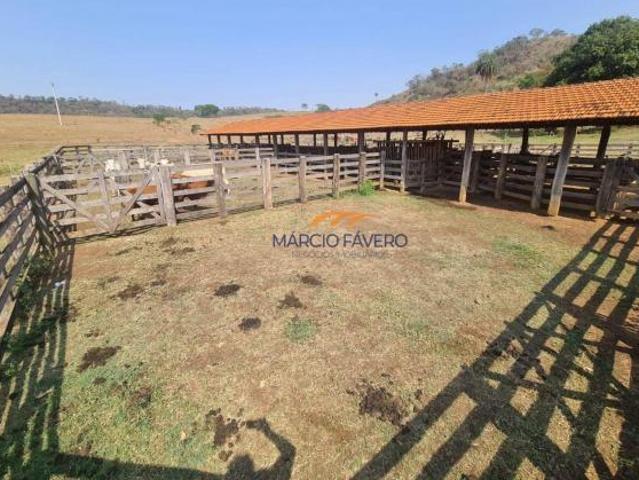 Fazenda para venda em Dois Córregos