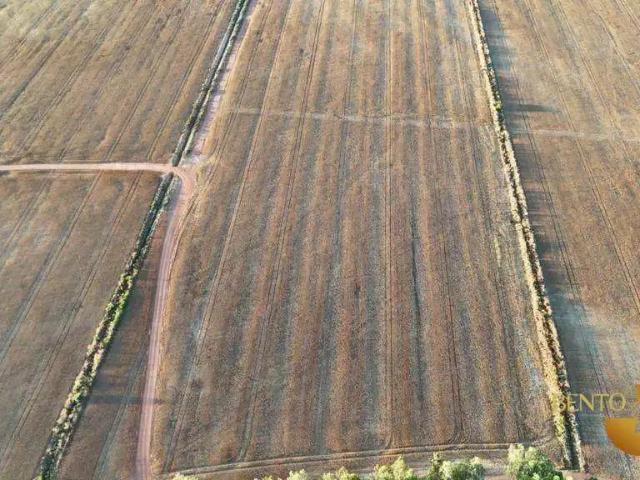 Fazenda para Venda em Dois Irmãos do Tocantins/TO Zona Rural