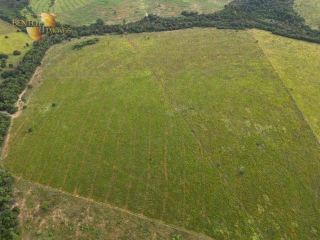 Fazenda para Venda em Dom Aquino/MT Zona Rural