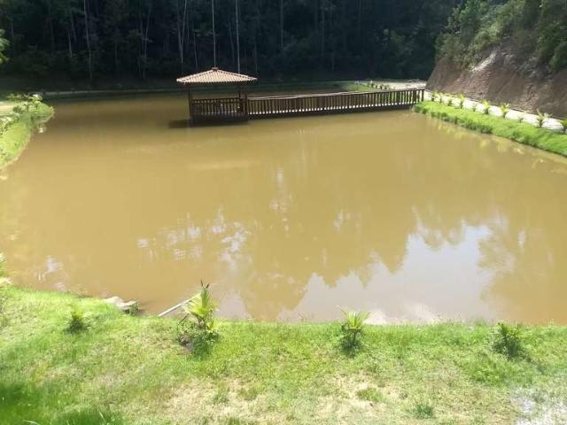Fazenda para Venda em Domingos Martins/ES Centro 4 Quartos