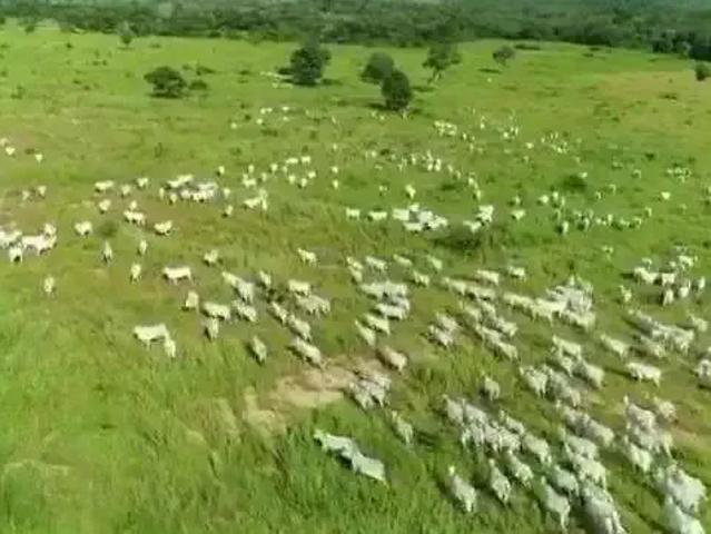 Fazenda para Venda em Damianópolis/GO Centro