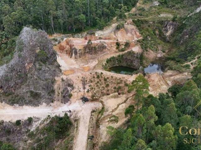 Fazenda para venda em Delfim Moreira