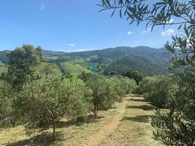 Fazenda para Venda em Delfim Moreira/MG Zona Rural 5 Quartos