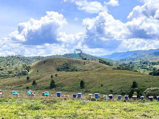 Fazenda para Venda em Delfim Moreira/MG Centro 10 Quartos