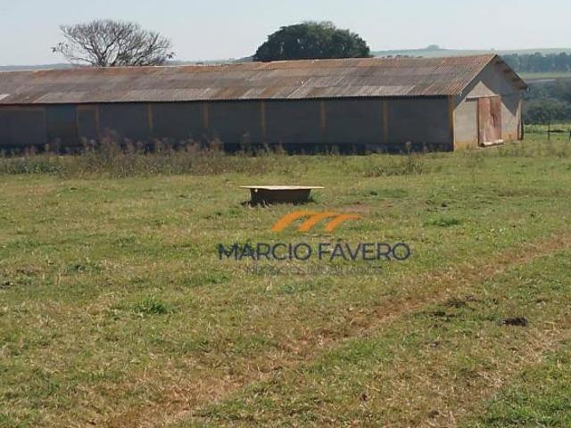 Fazenda para venda em Descalvado