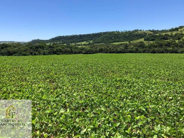 Fazenda para Venda em Diamante d'Oeste/PR Santa Maria